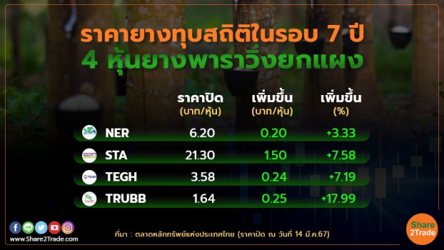 4 หุ้นยางพารา “NER-TEGH-TRUBB-STA” วิ่งคึก! รับอานิสงส์ราคายางพุ่งในรอบ 7 ปี | Share2Trade